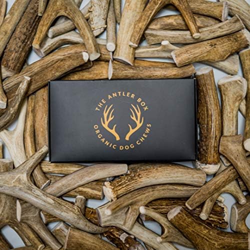 The Antler Box Premium Deer Antler Dog Chews